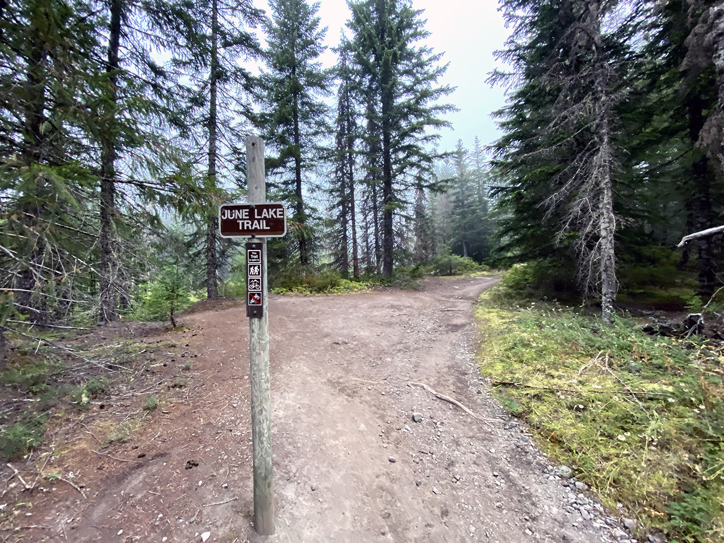 Trail Running Around Mt St Helens in a Day - WanderlustHiker